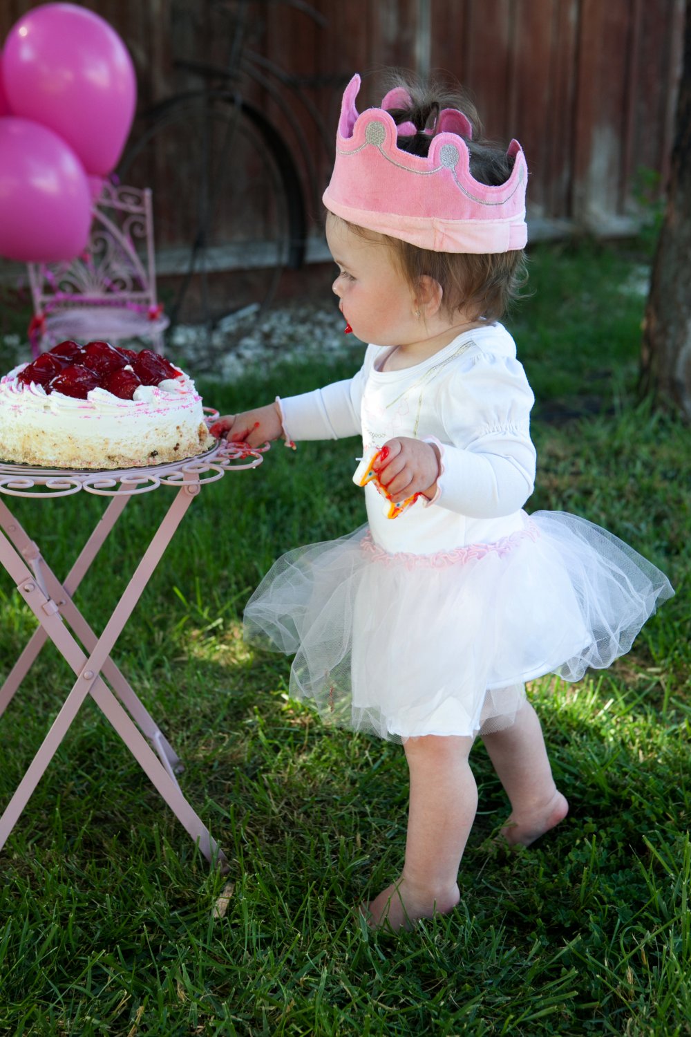 One Year Smash Cake - Featured Sample Sessions - Great Fx Photography